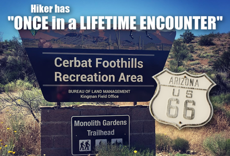 I Hiked Cerbat Foothills Recreation Area : You'll Never Guess What I ...