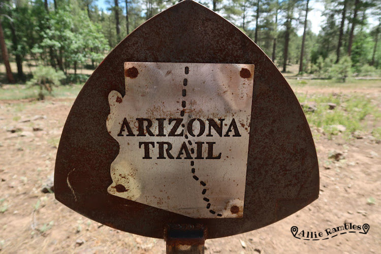 Thru-Hiking the Arizona Trail (AZT) as an Older Woman - Allie Rambles